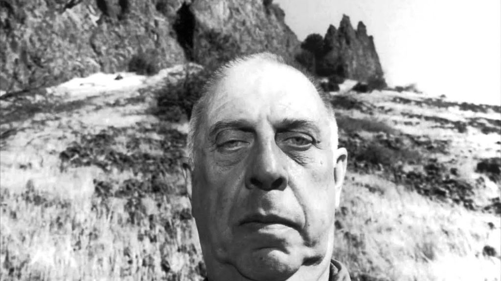 Descubre el genio detrás de la lente: la fascinante visión de ...